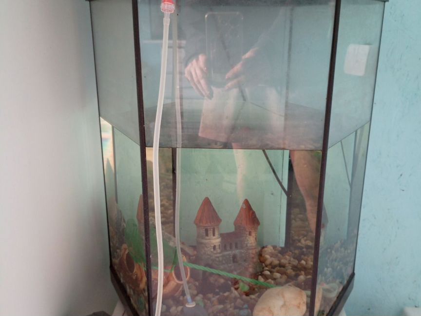 Аквариум Aquael