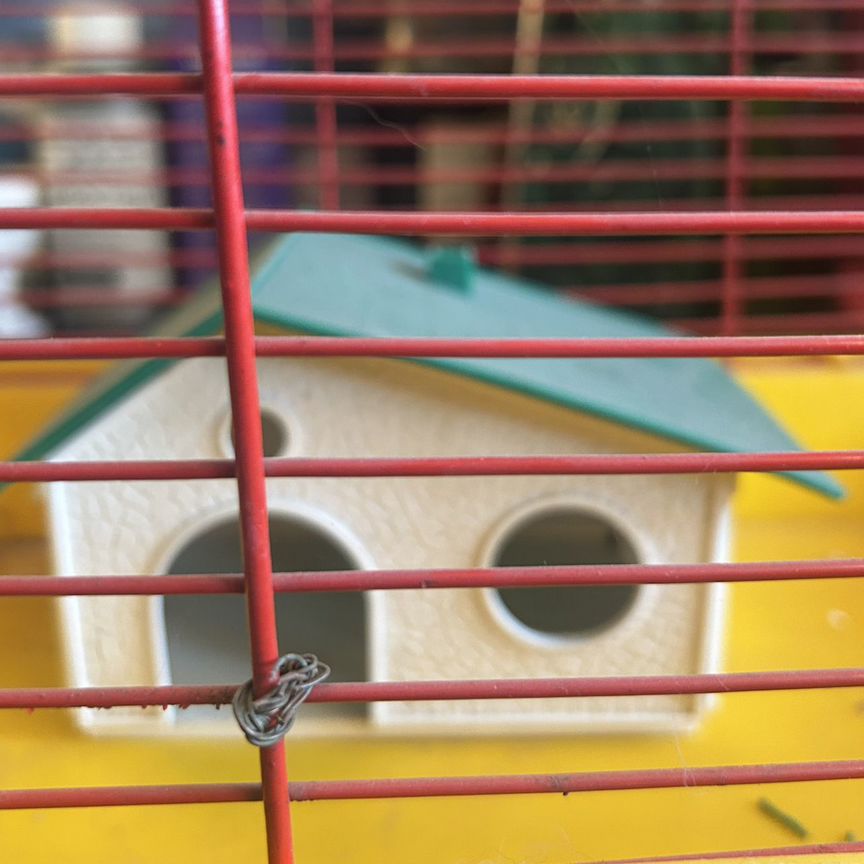 Продам клетку для хомяка