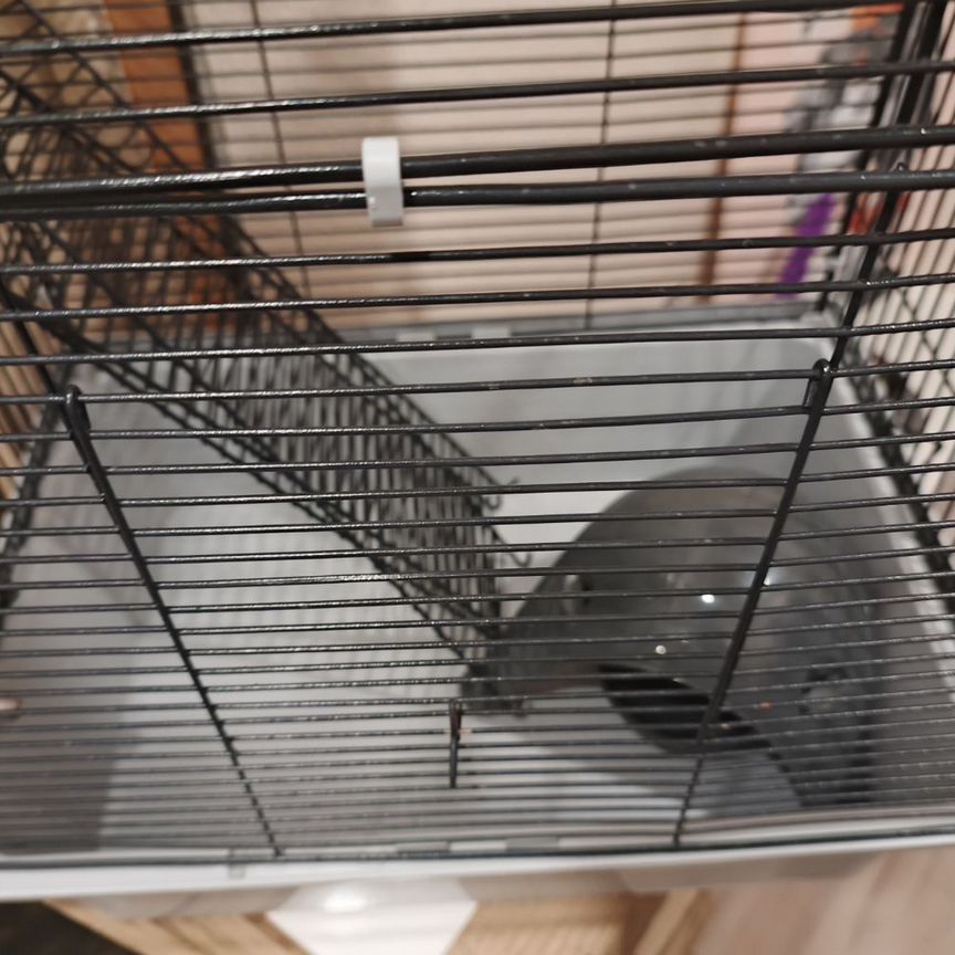 Клетка для грызунов