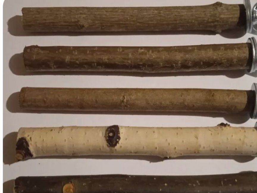 Жердочки для попугая в клетку