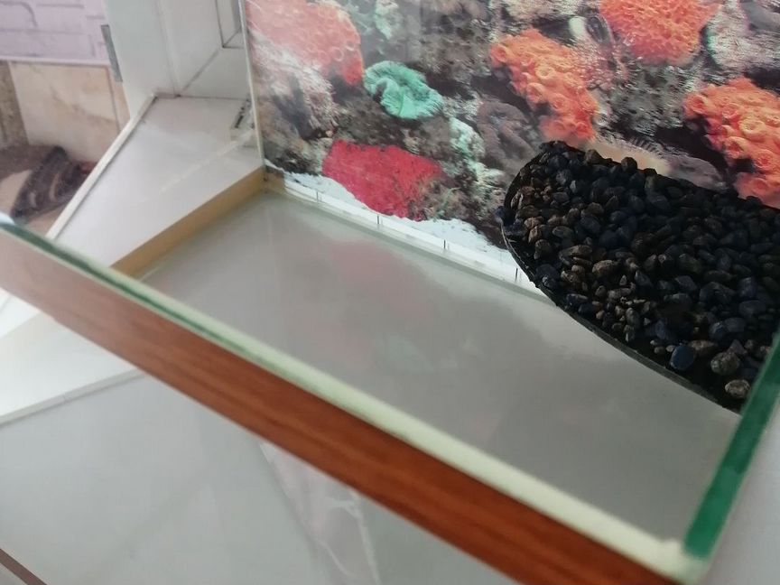 Террариум для черепахи