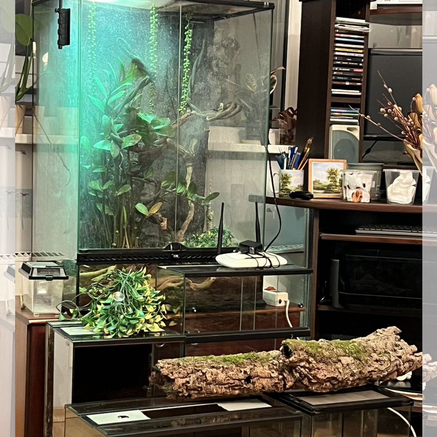 Террариумы