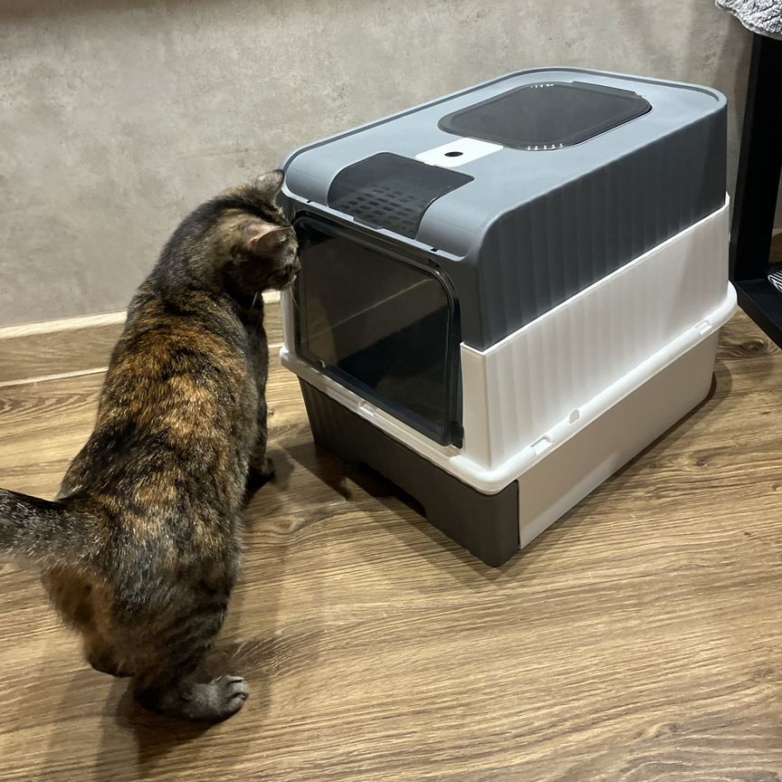 Закрытый лоток для кошек