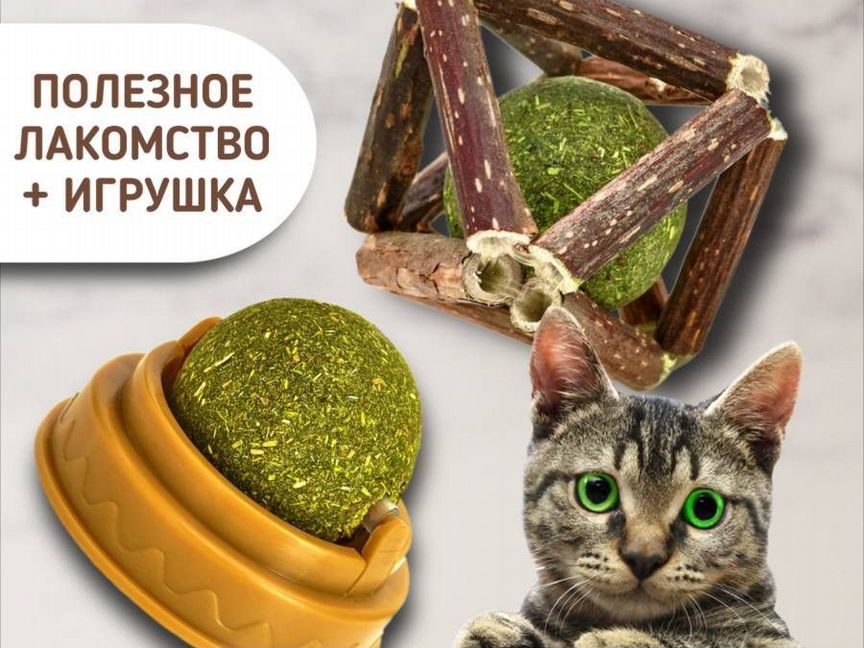 Кошачья мята