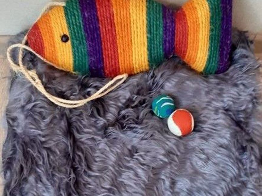 Аксессуары, подстилка,когтеточка для кошки