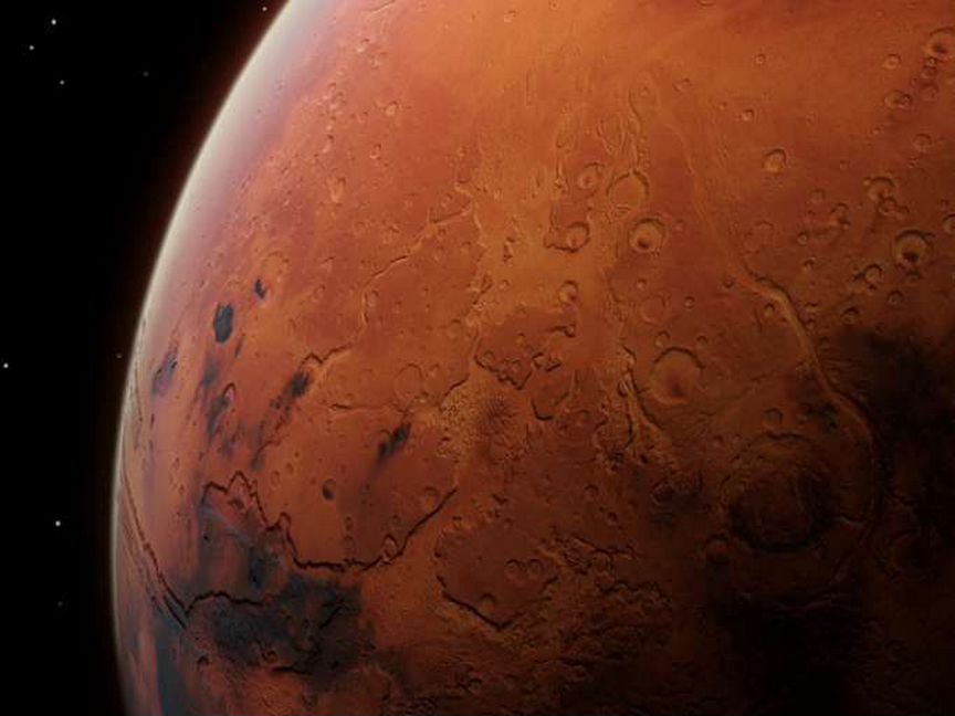 Продам пшеницу зерно пай в Село Ургаза