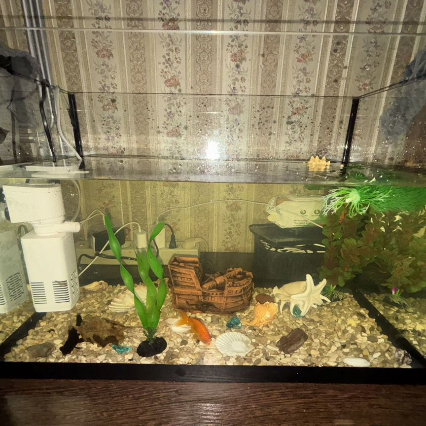 Аквариум на 60 л