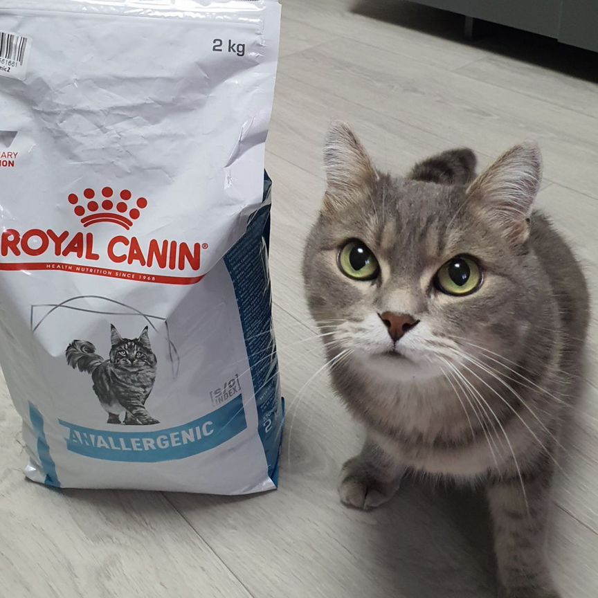 Корм для кошек Royal Canin Anallergenic