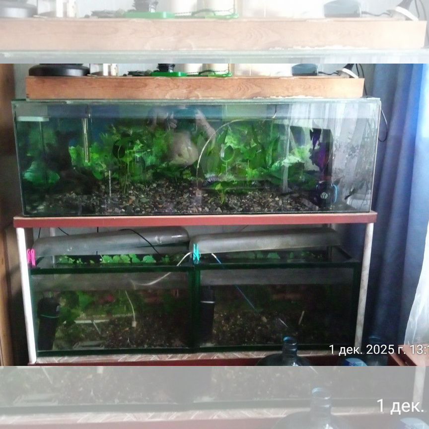 Аквариумы для рыбок бу