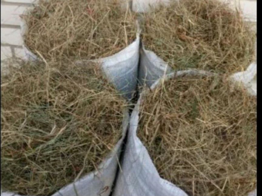 Продам сено