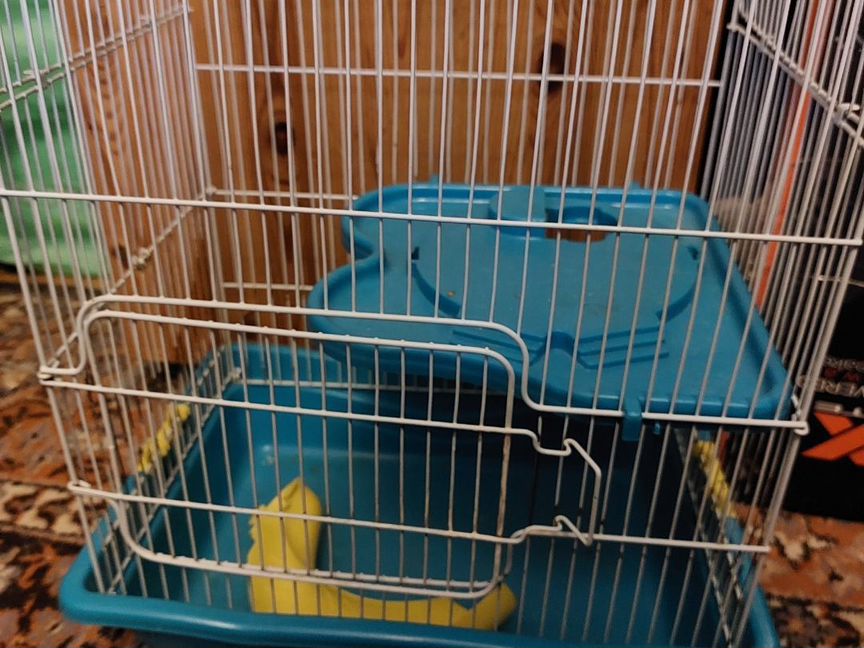 Клетки для грызунов