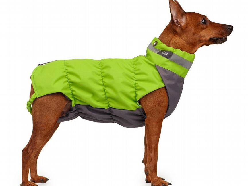 Комбинезон крокодильчик Lalra для собаки 2-2,4кг