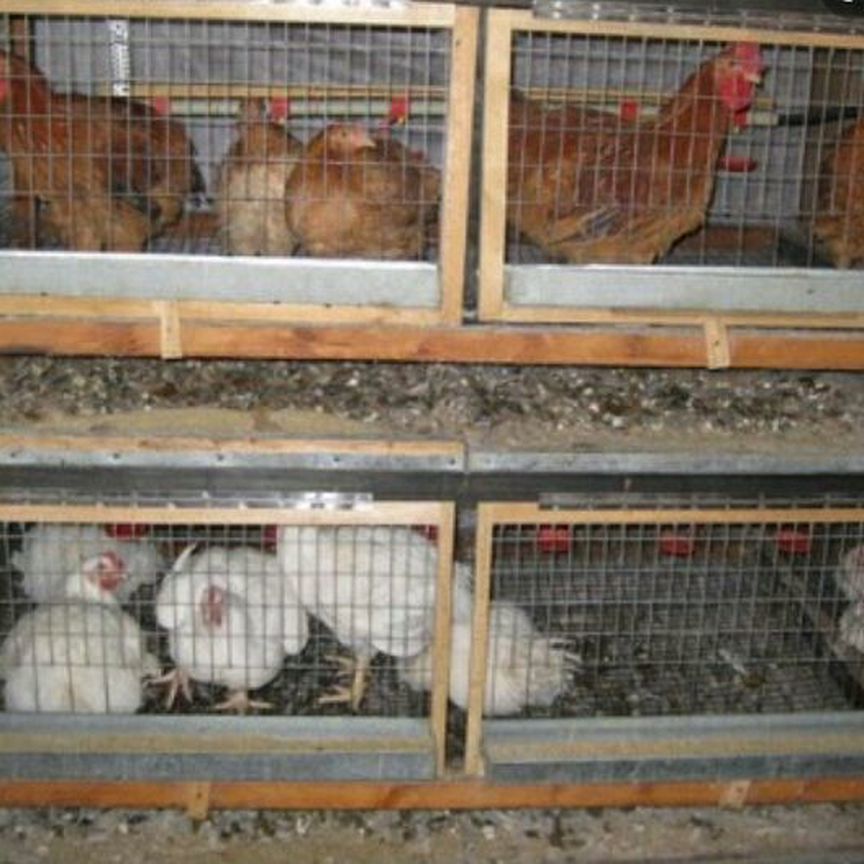 Продаются клетки для кур, кроликов