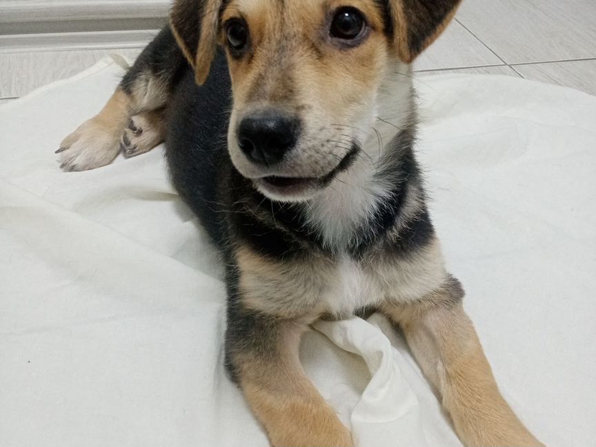 Классный мальчишка, 3 мес