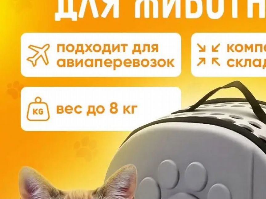 Сумка переноска для кота