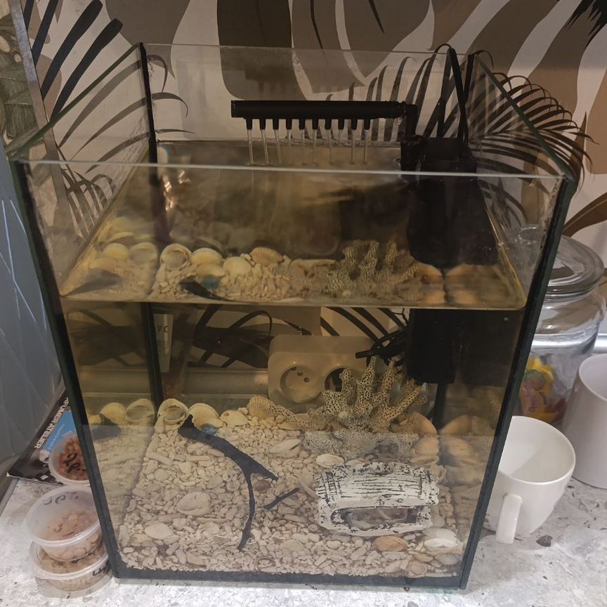 Аквариум с рыбками