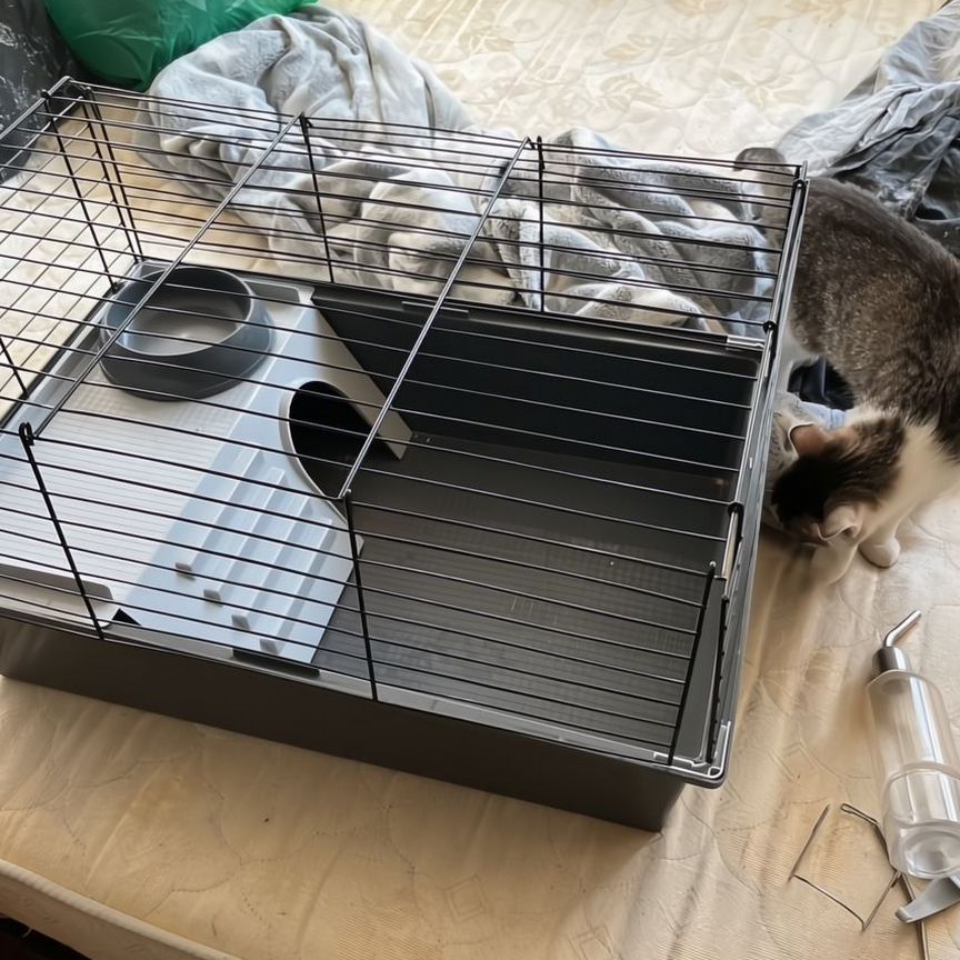 Клетка для морских свинок