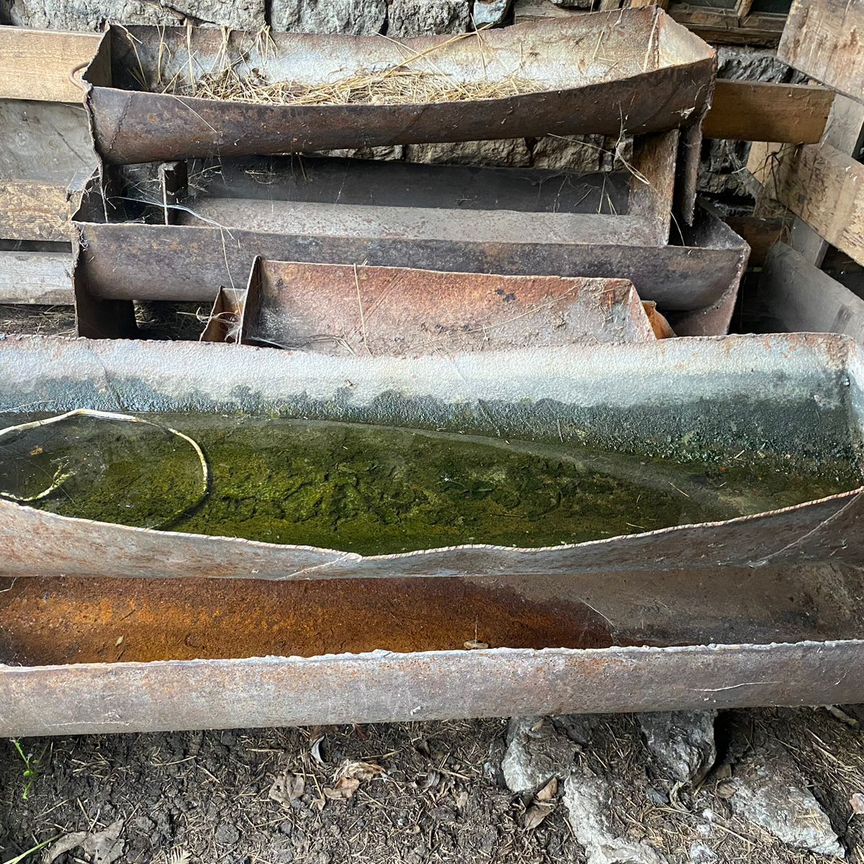 Кормушка для животных