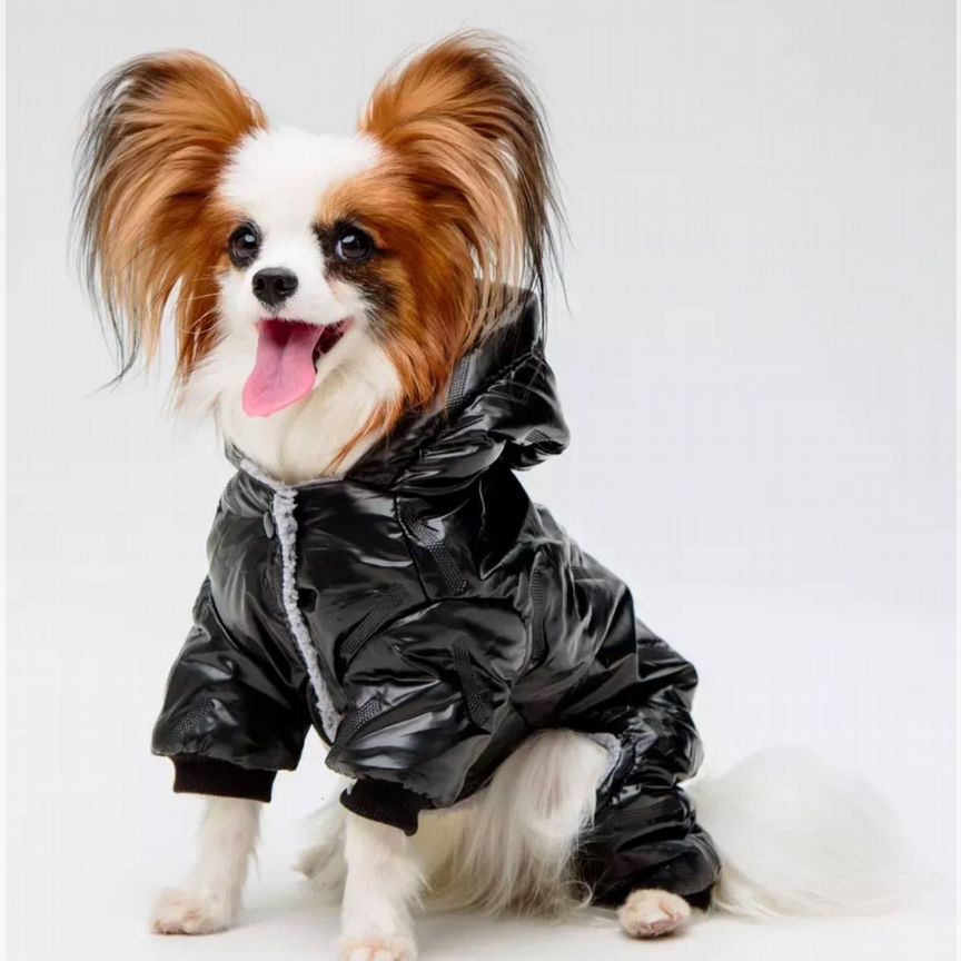 Одежда для маленьких собак