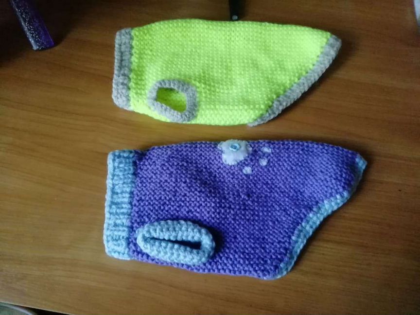 Бодики для маленьких собачек