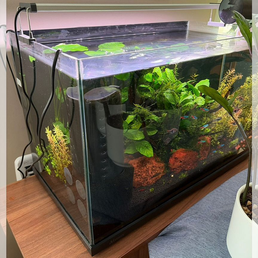 Аквариум 75л под ключ с рыбками и креветками