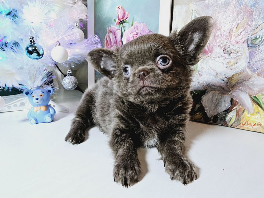 Малышка и очаровашка