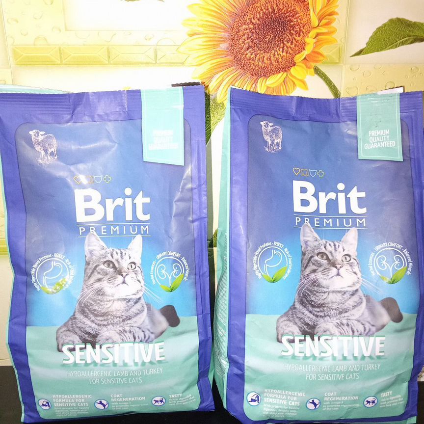 Корм для кошек