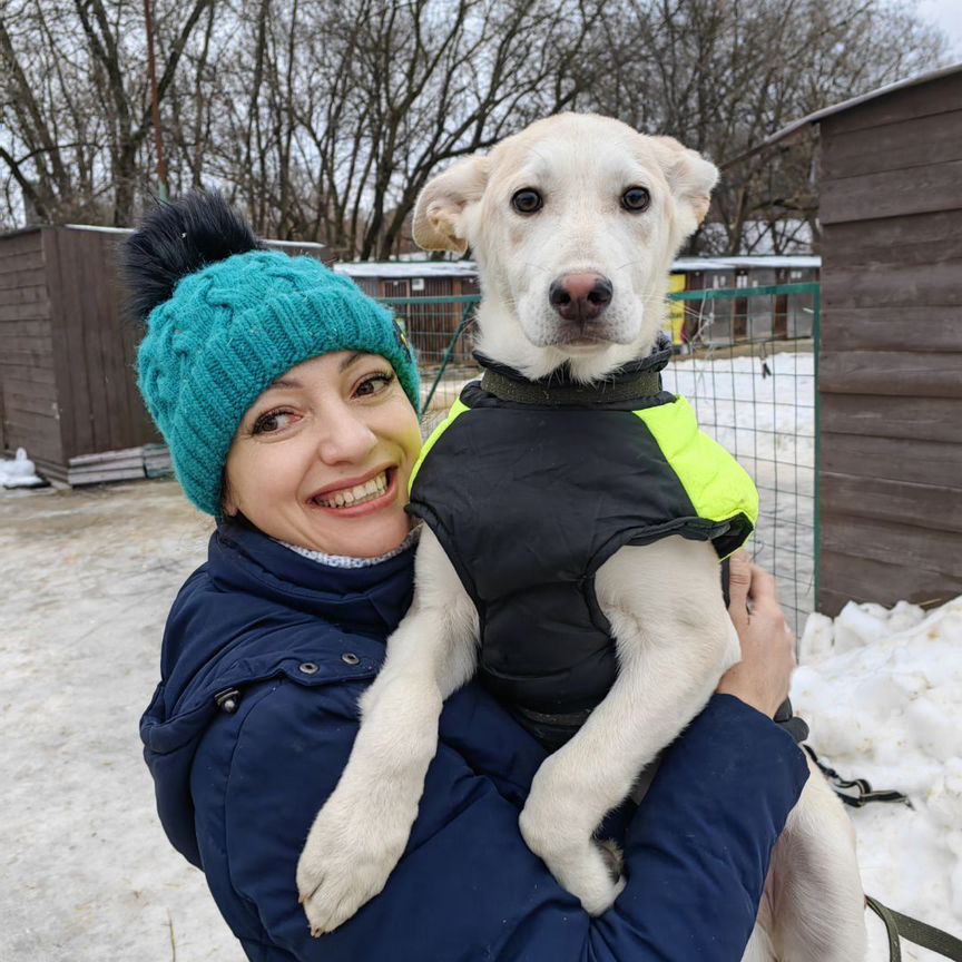 Щенок ищет семью. Спасите