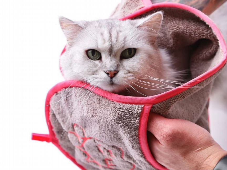 Полотенце для животных