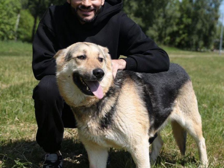 Джем хочет к людям