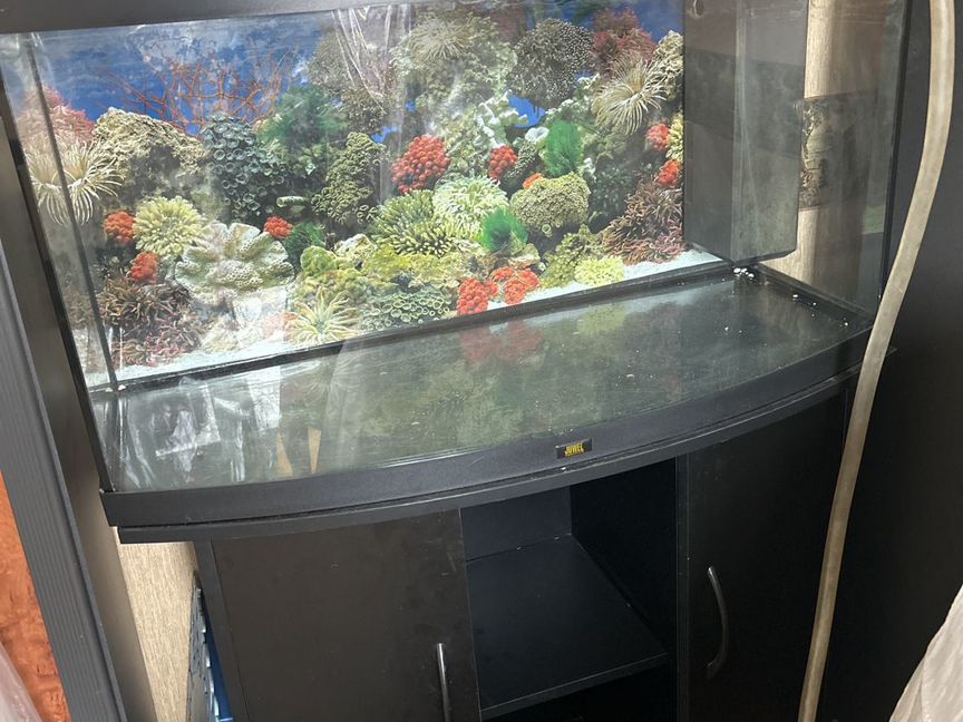 Аквариум с тумбой juwel 200 литров