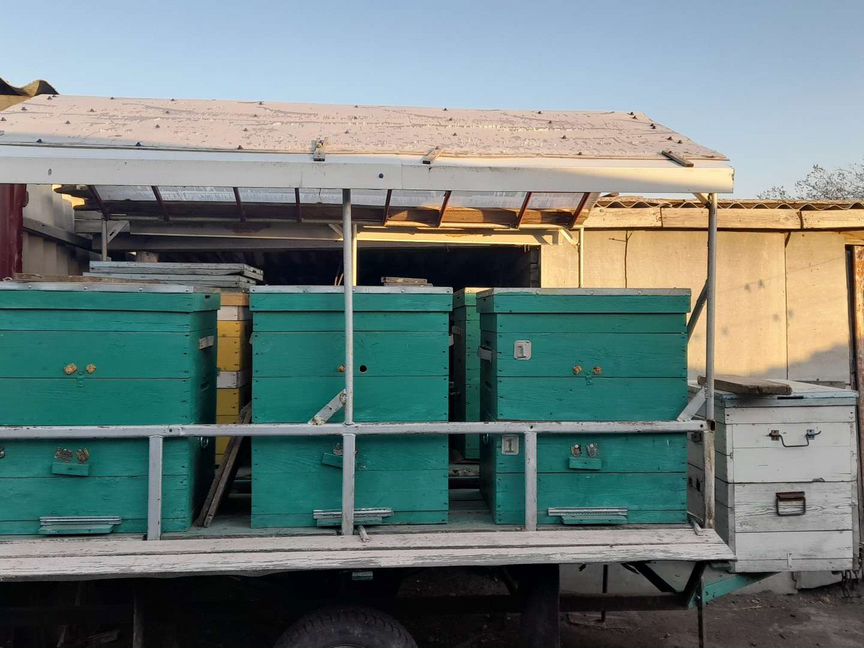 Продам улики, тележку, медогонку