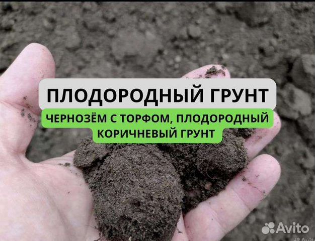 Чернозем, плодородный грунт для теплиц и огорода купить в Калининграде ...