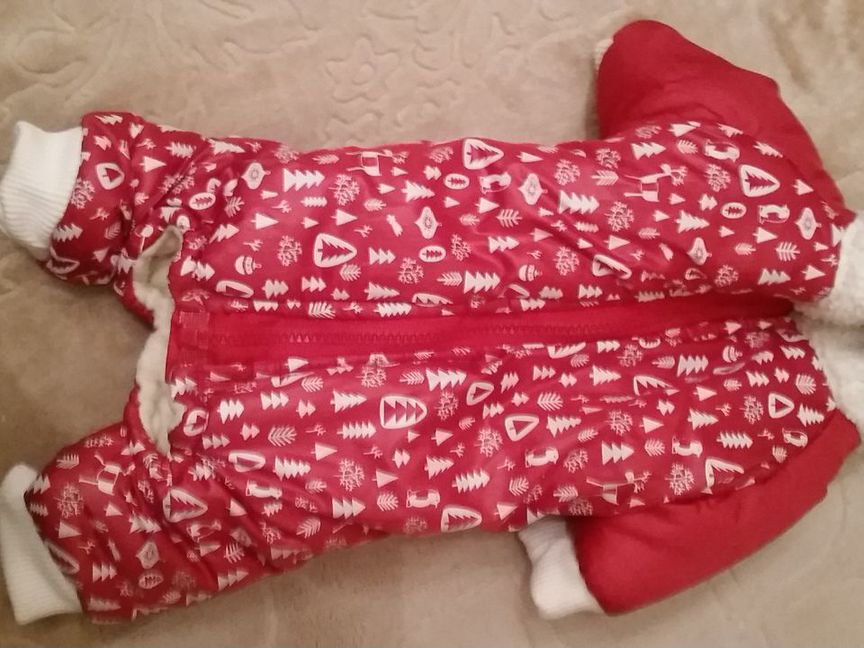 Комбез для чихуа-хуа