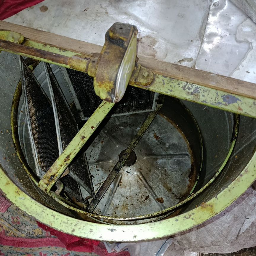 Медогонка бу