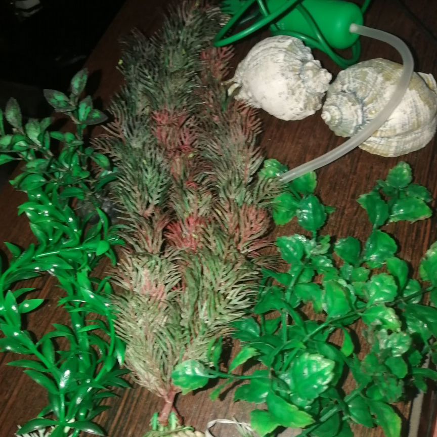 В акварииум