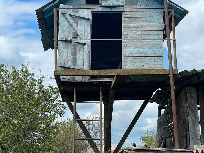 Голубятник