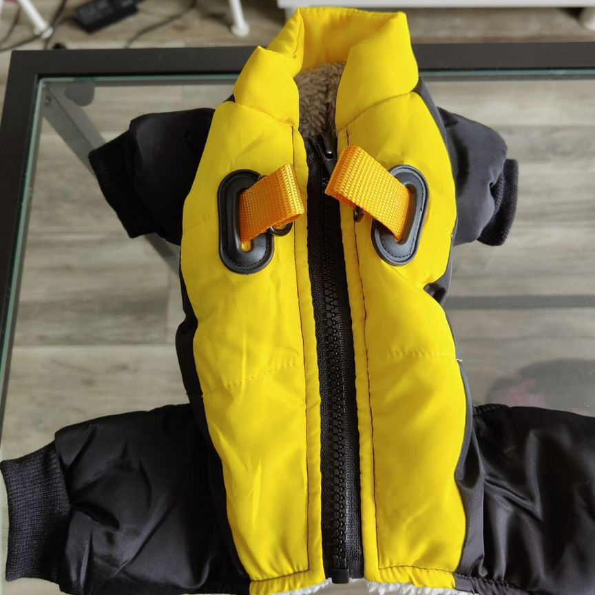 Костюм для собаки