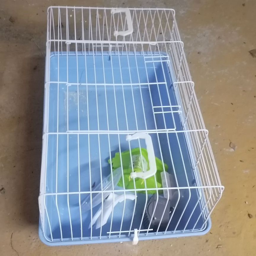 Клетка для грызунов большая