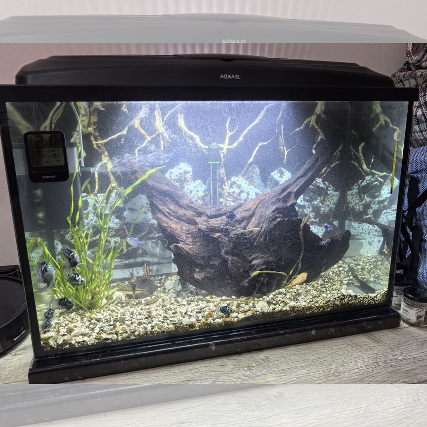 Продам действующий аквариум 140 литров