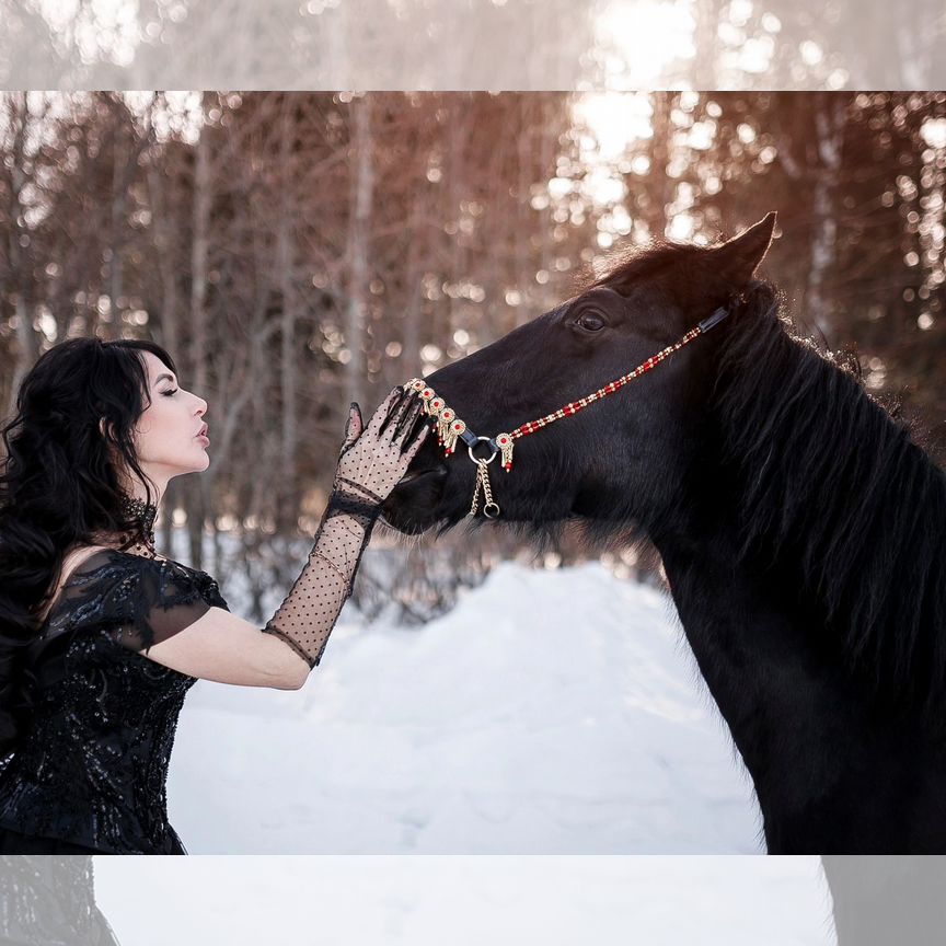 Недоуздок выводной