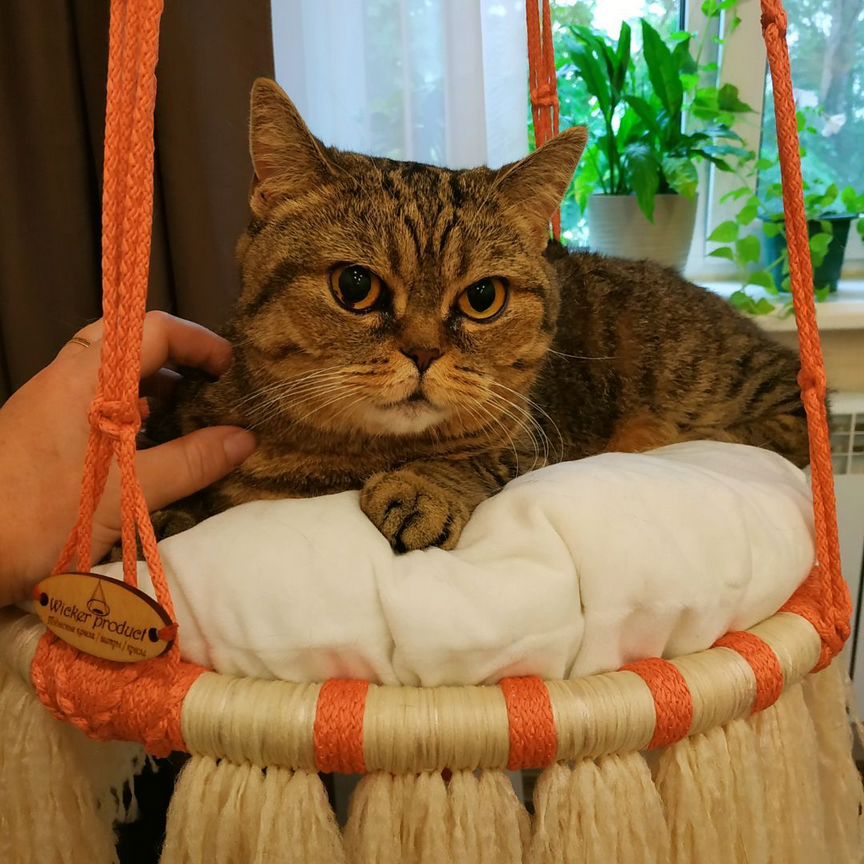 Подвесная лежанка для котов