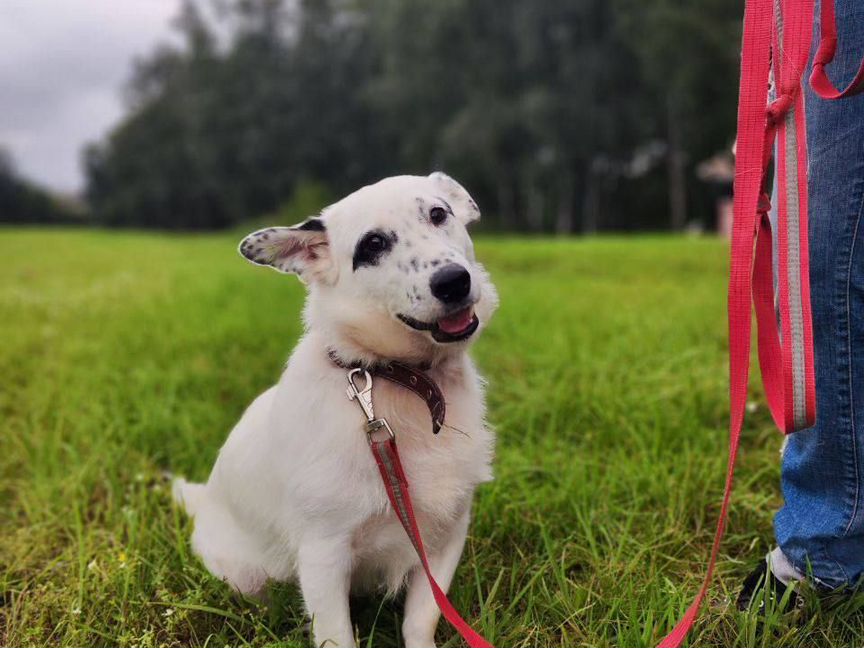Добрый Пират зовет вас на подвиги