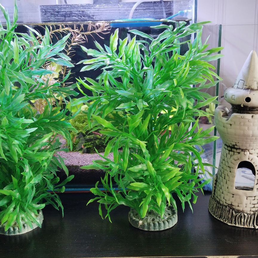 Аквариумный декор