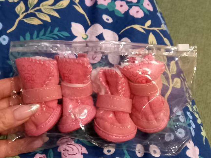 Обувь для маленькой собаки