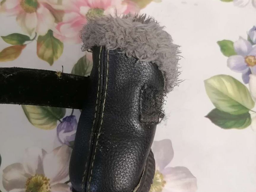 Одежда для собак