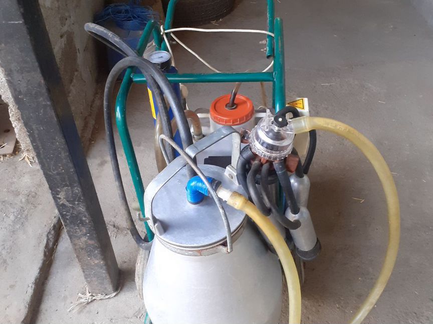 Доильный аппарат