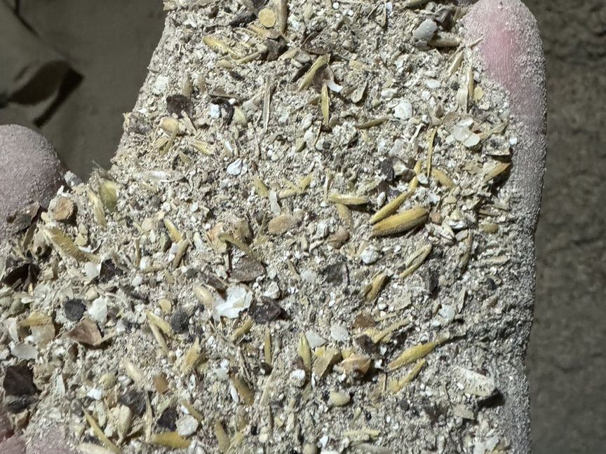 Зерносмесь дробленая