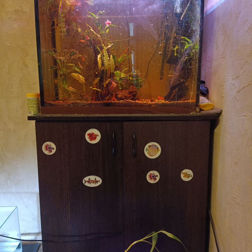 Аквариум 90л с тумбой и техникой