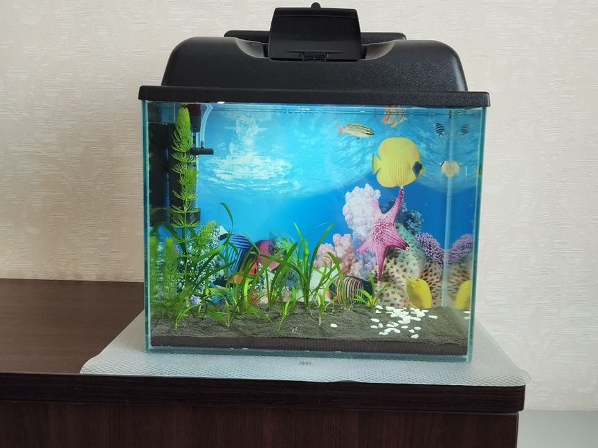 Новый аквариум с рыбками 30 литров